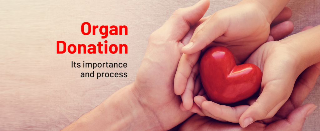 Organ Donation: Its importance and process